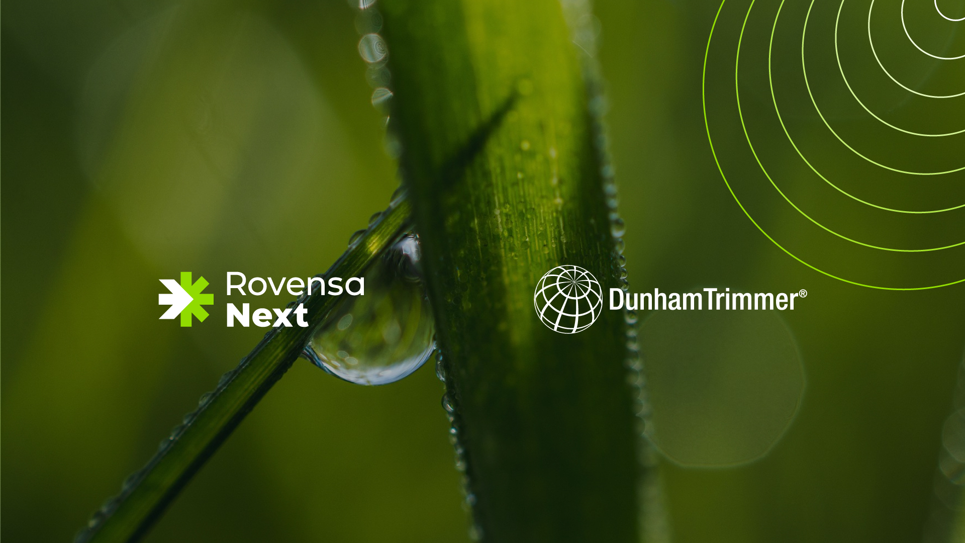 Rovensa Next recognized as the No. 1 global leader in biostimulants in ...